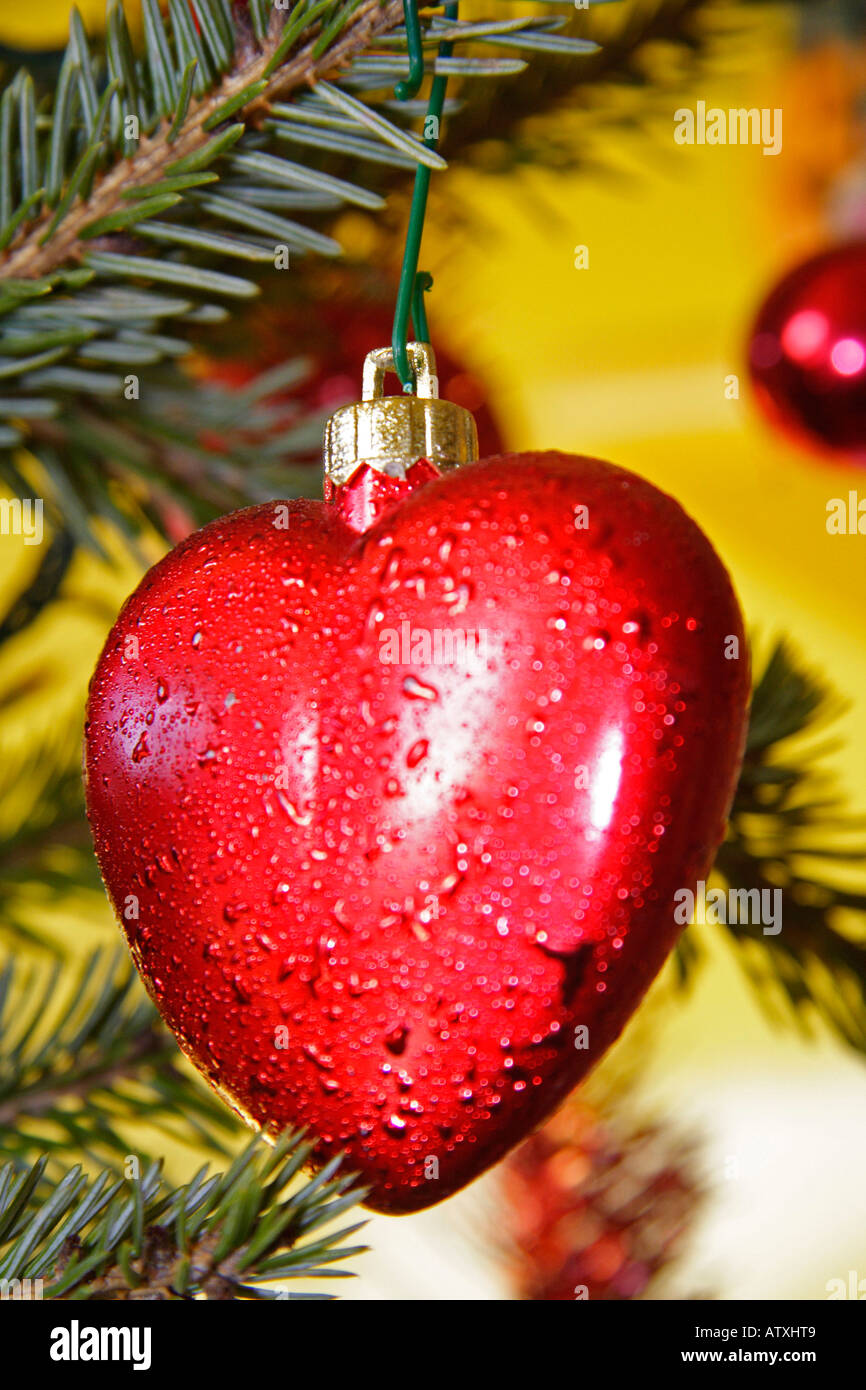 Festoon tree hi-res stock photography and images - Alamy