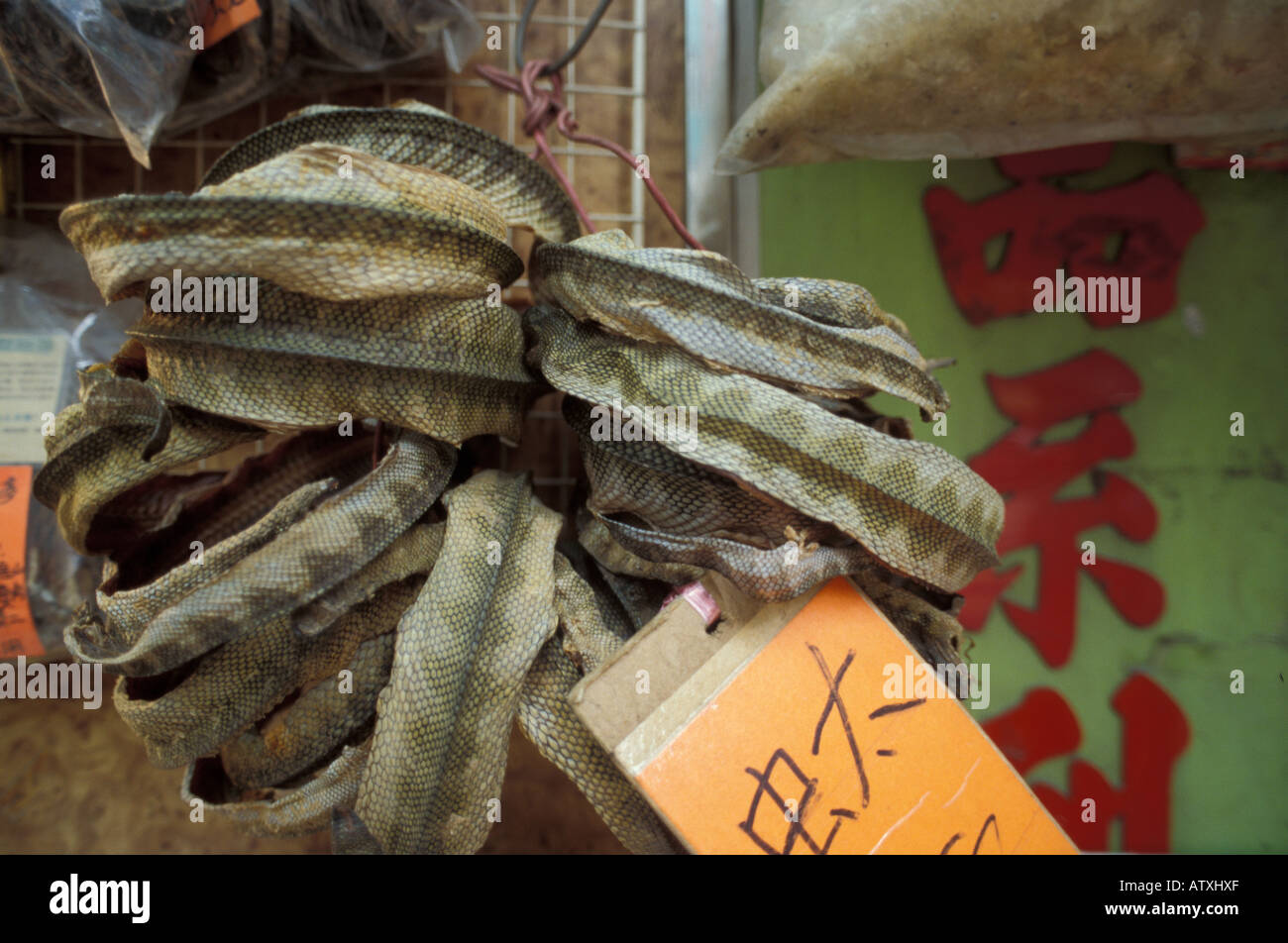 Dried snake hi-res stock photography and images - Alamy