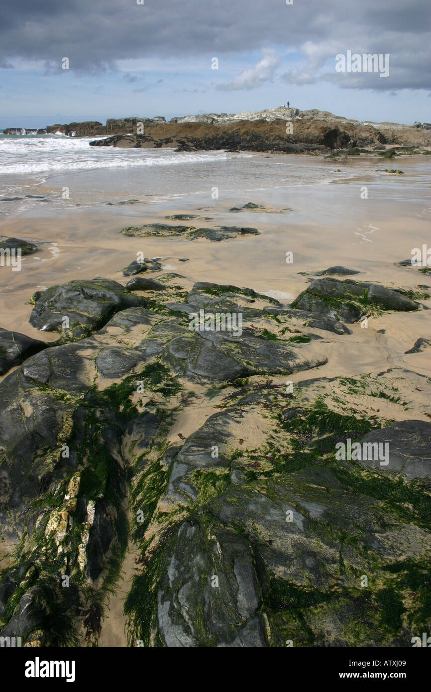 Gwithian sands hi-res stock photography and images - Alamy