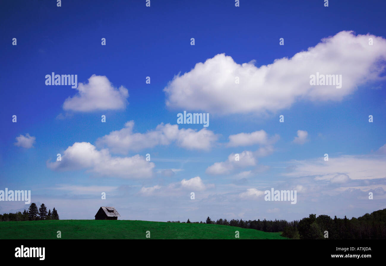 Red2613 hi-res stock photography and images - Alamy