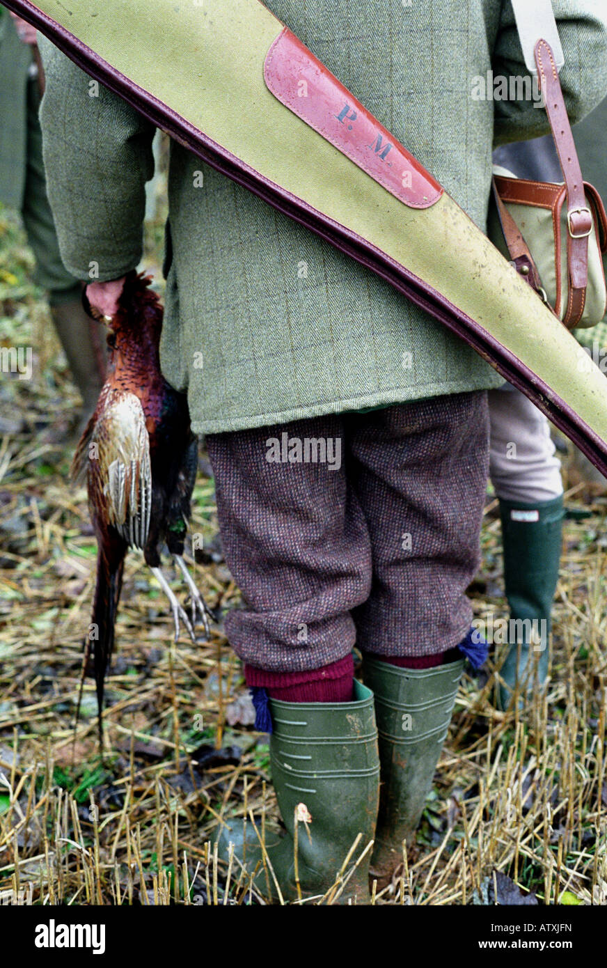 Pheasant beating hi-res stock photography and images - Alamy