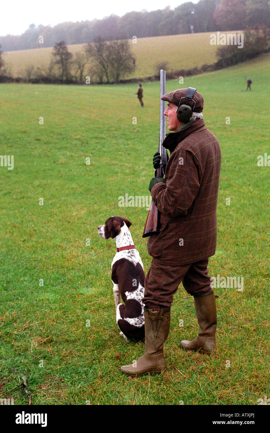 Gun with his English Pointer a shoot in the Cotswolds Stock Photo - Alamy