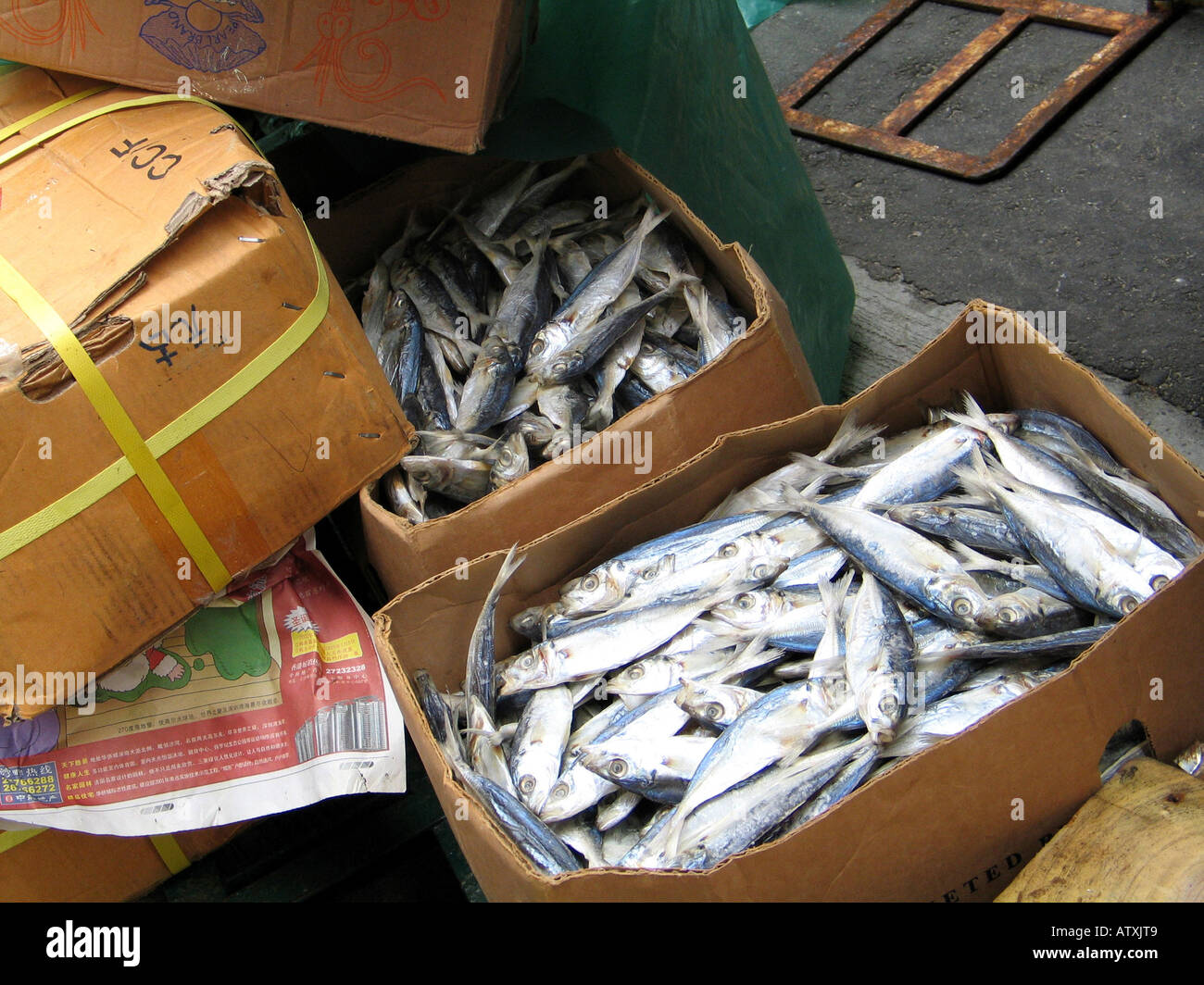 Dried fish Hong Kong China Asia Stock Photo - Alamy
