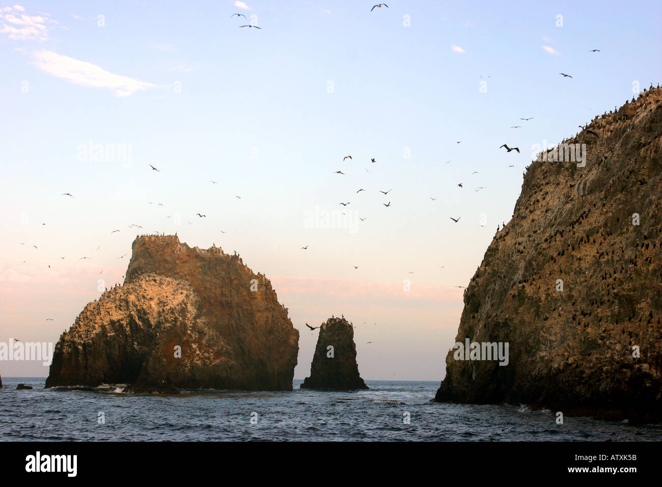 Anacapa california hi-res stock photography and images - Alamy