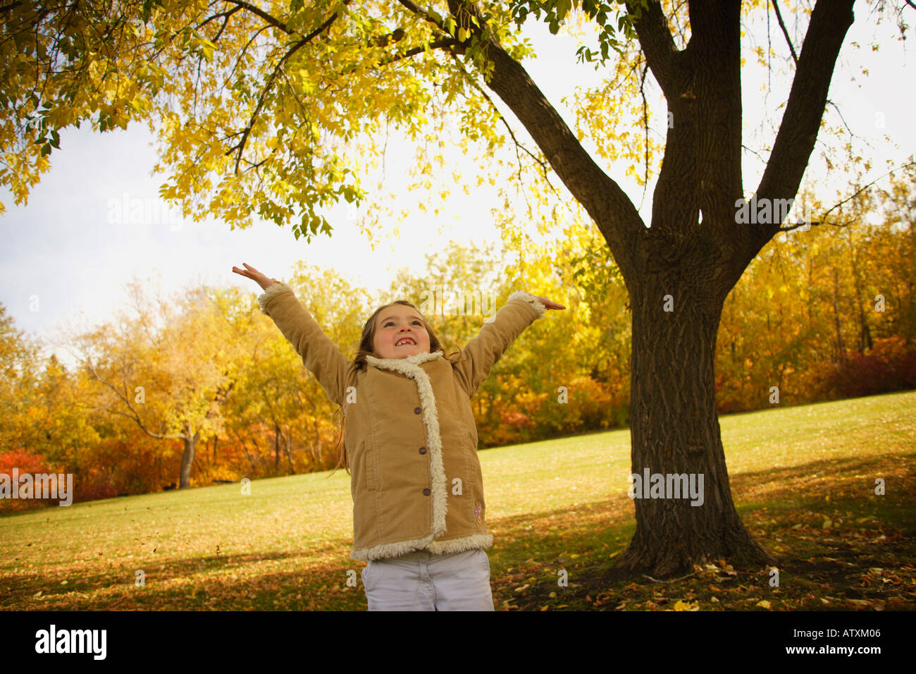 Catch Falling People Stock Photos & Catch Falling People Stock Images ...