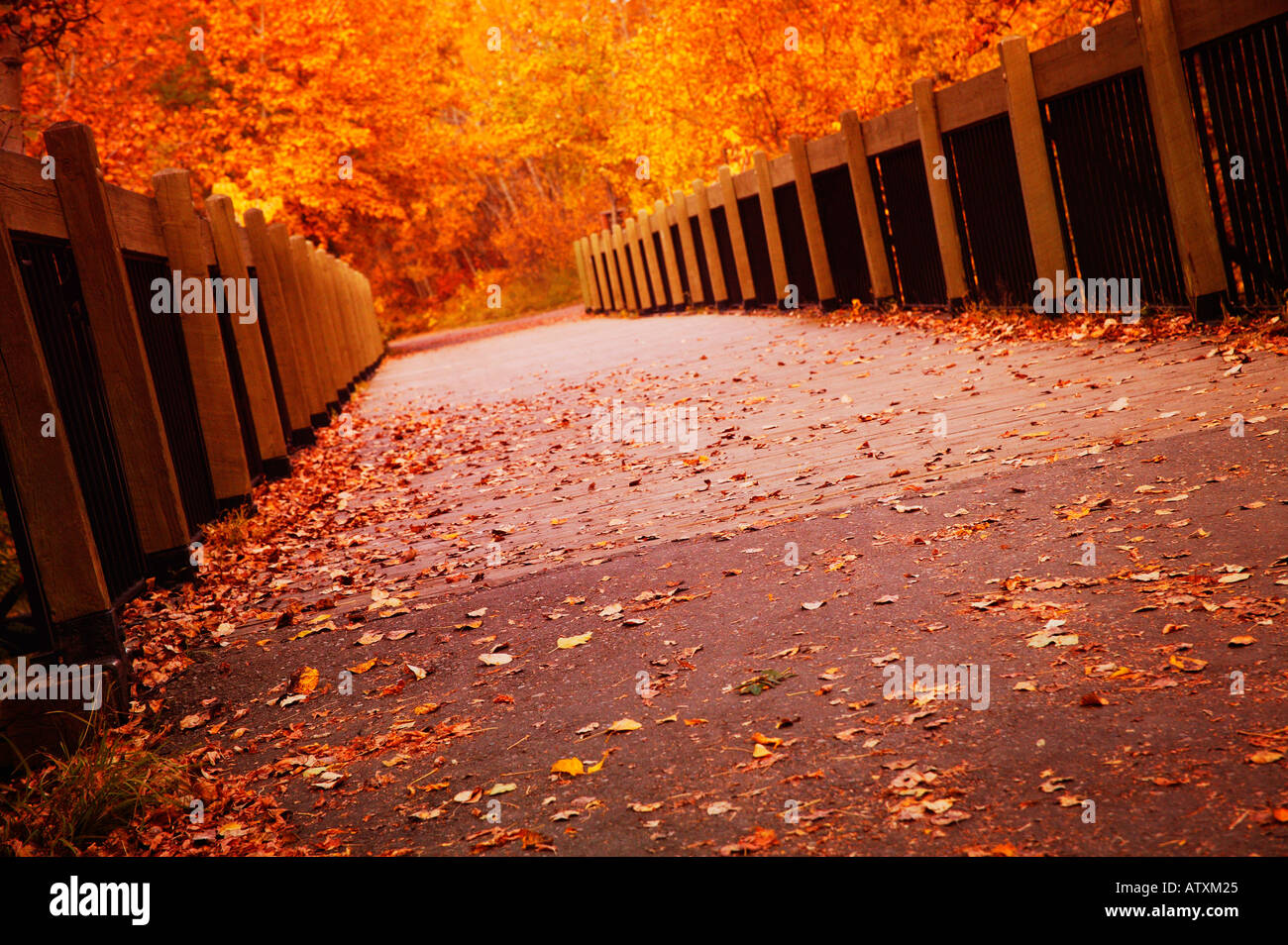 Path fence beautiful hi-res stock photography and images - Alamy