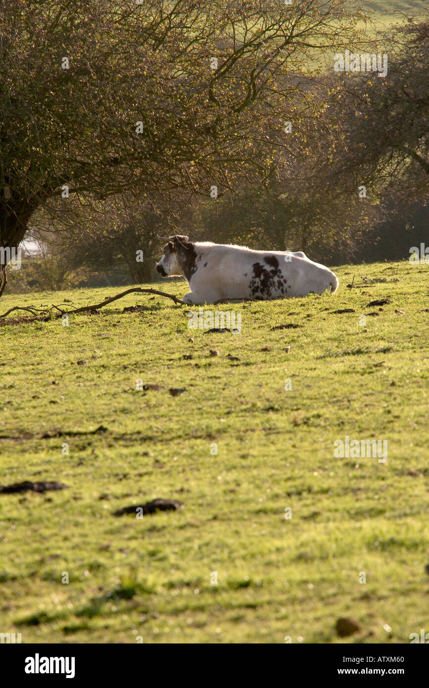 Fingringhoe uk hi-res stock photography and images - Alamy