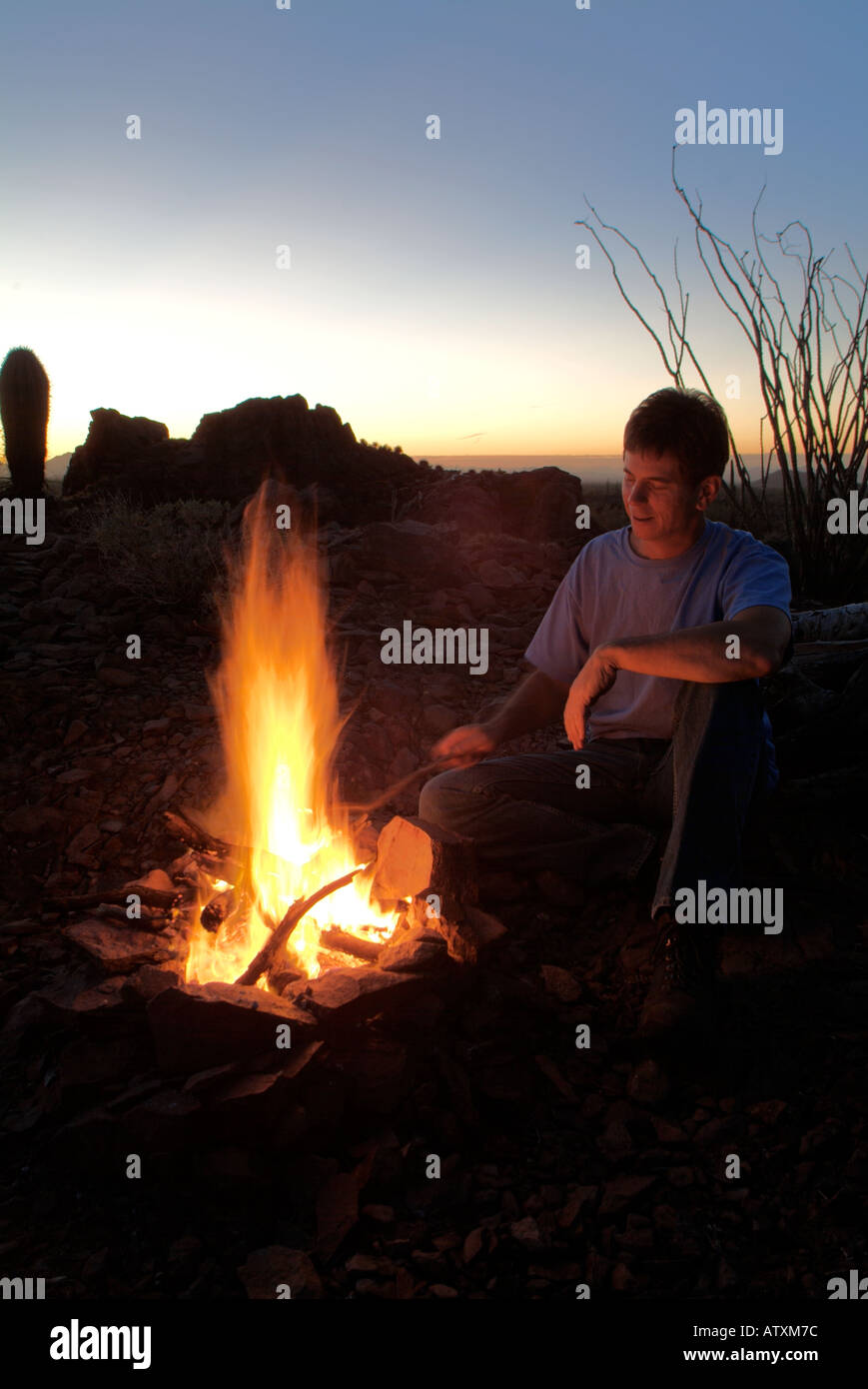 Camping desert cactus night hi-res stock photography and images - Alamy