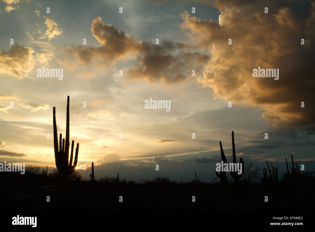 Sunset Clouds Tucson Arizona Stock Photo - Alamy