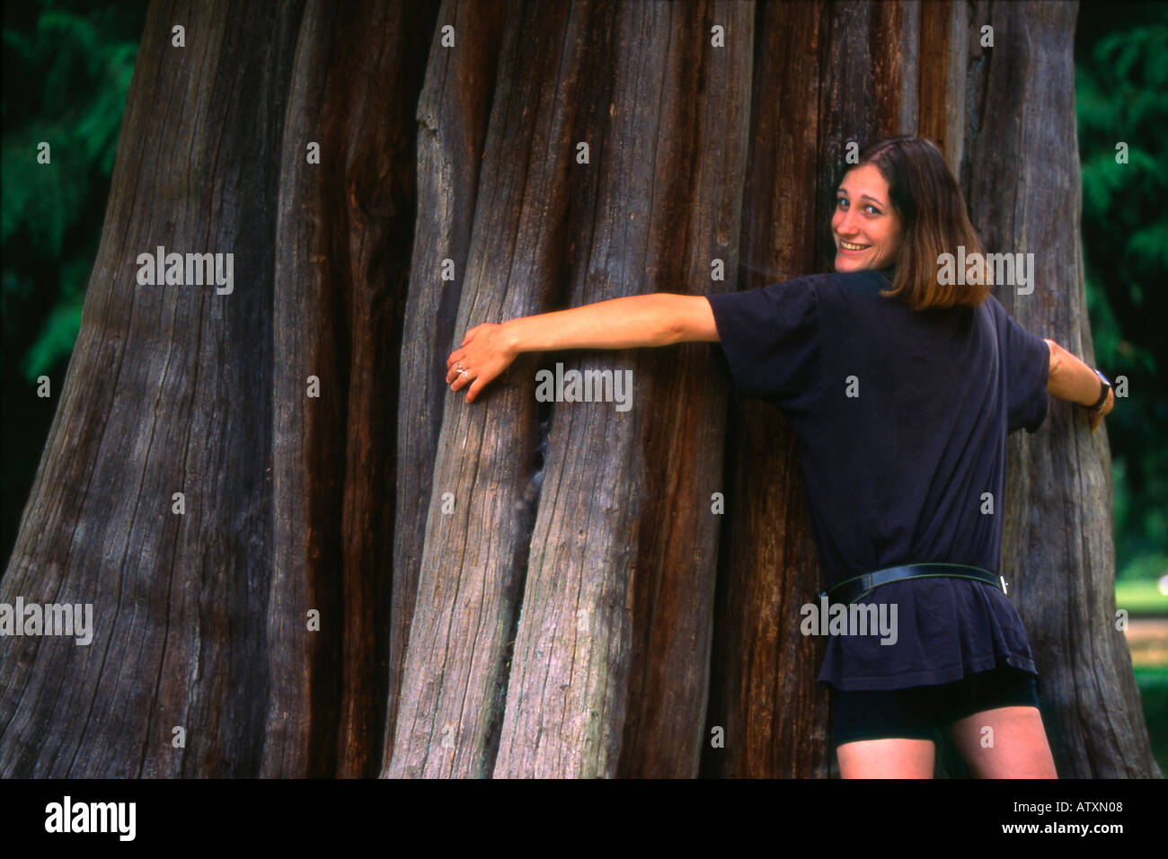 Female with an ancient cedar tree hi-res stock photography and images ...