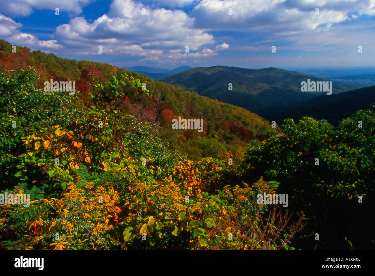 Blue Ridge Mountains, Virginia, USA Stock Photo - Alamy