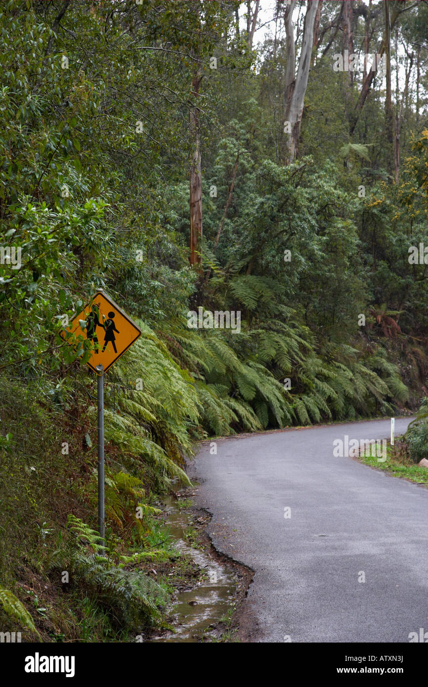 Winding road crossing hi-res stock photography and images - Alamy