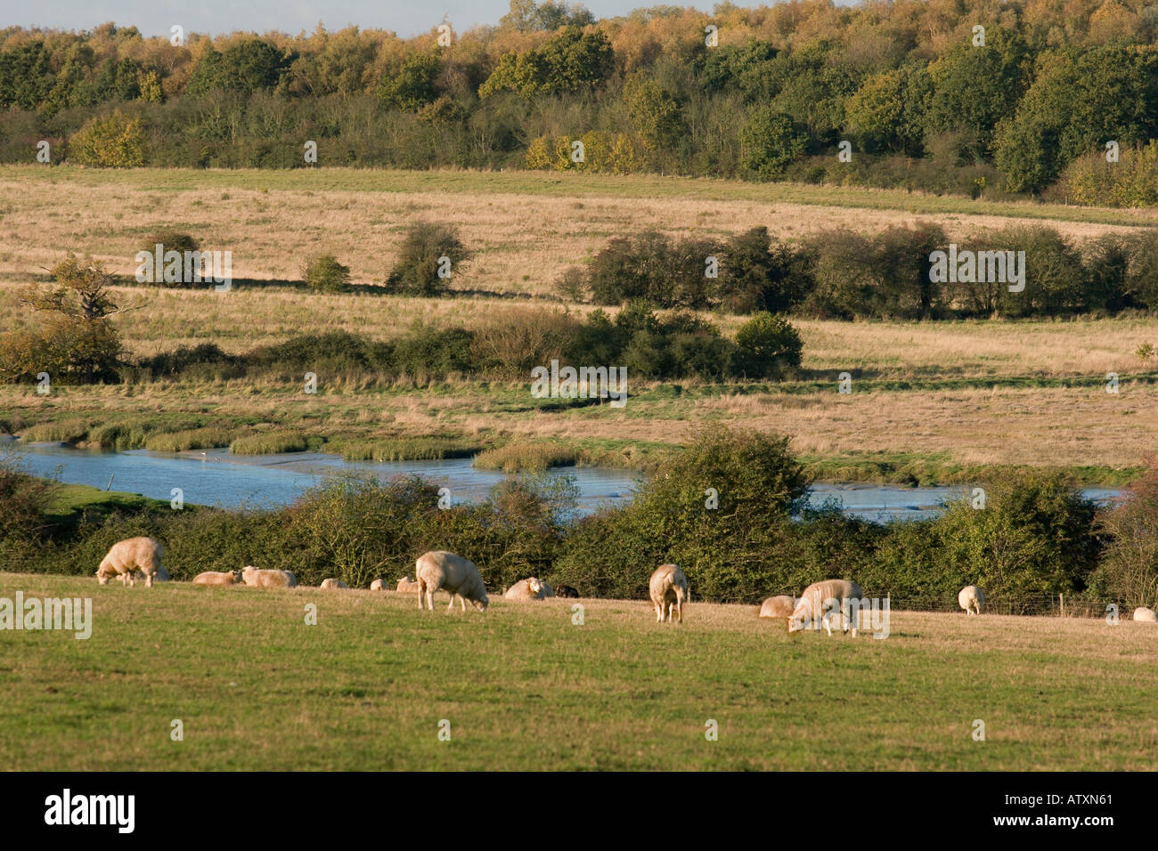 Fingringhoe uk hi-res stock photography and images - Alamy