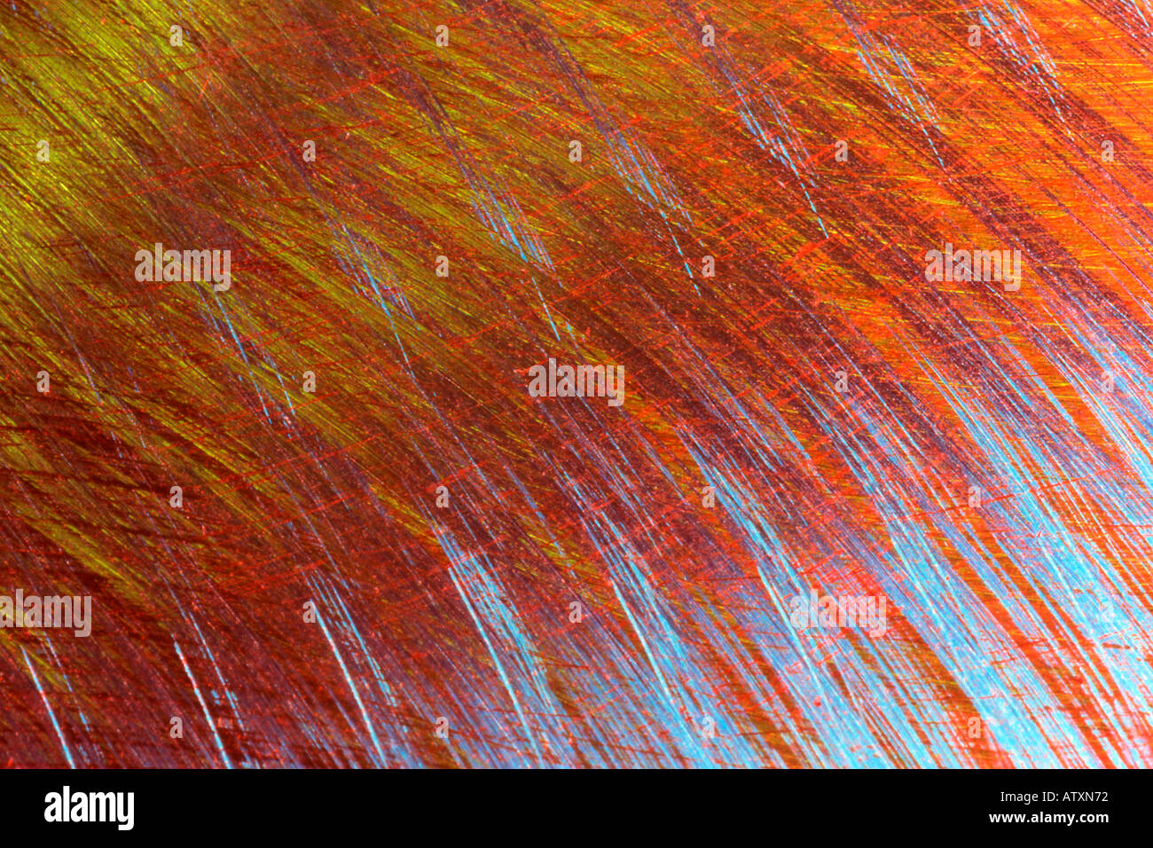 Mix of fur textures hi-res stock photography and images - Alamy