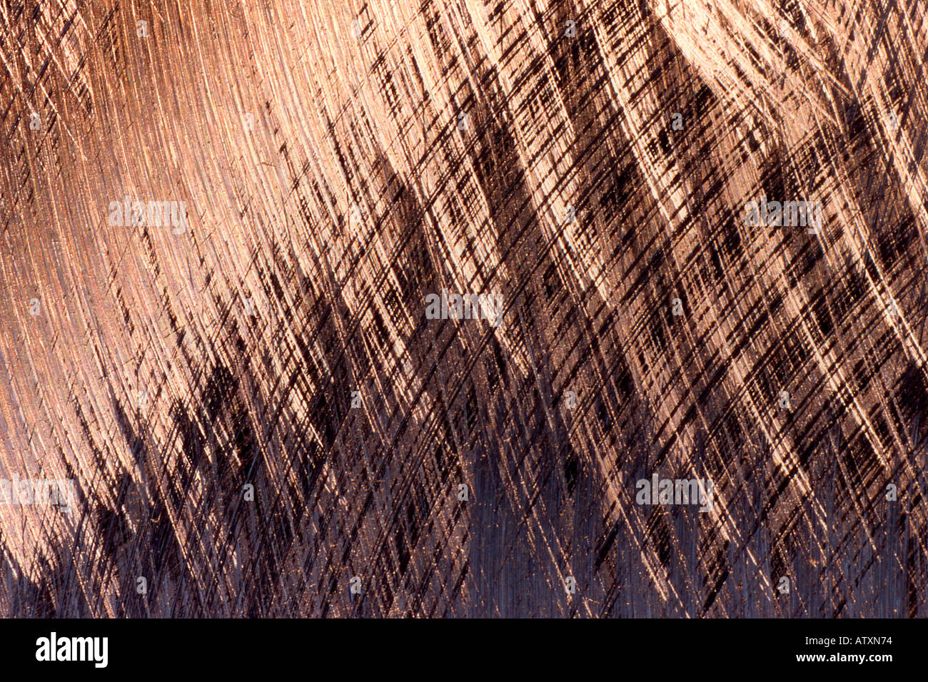 Furry textures hi-res stock photography and images - Alamy