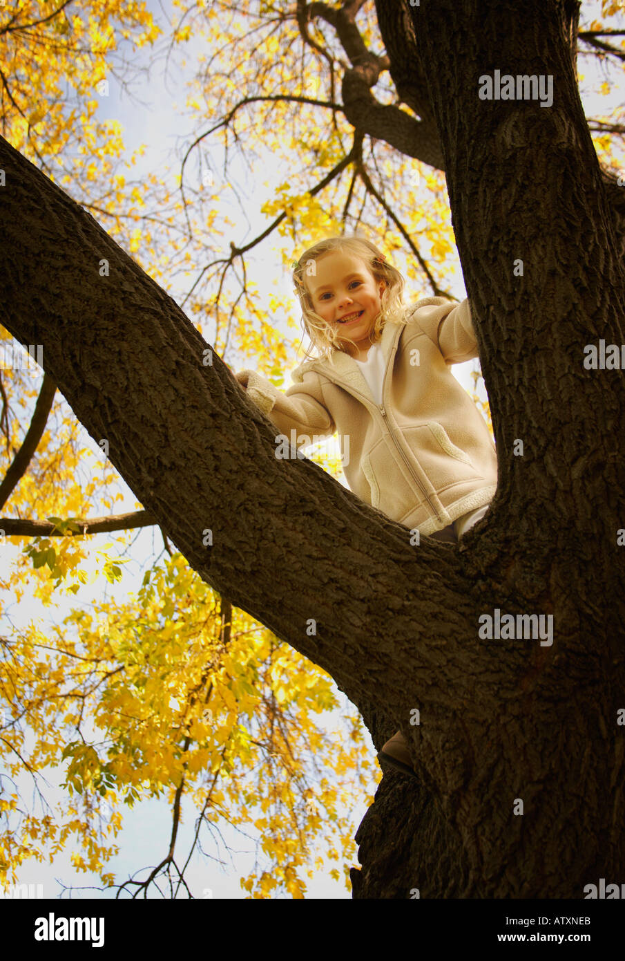 Young girl in tree Stock Photo - Alamy