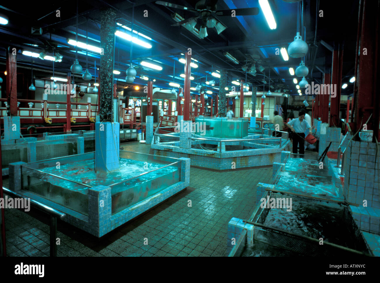 Fresh fish Jumbo restaurant Hong Kong China Asia Stock Photo - Alamy