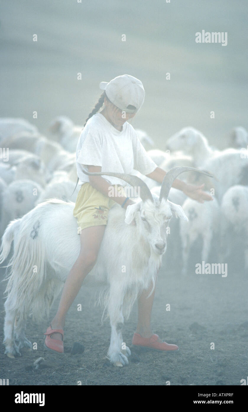 Goat riding hi-res stock photography and images - Alamy