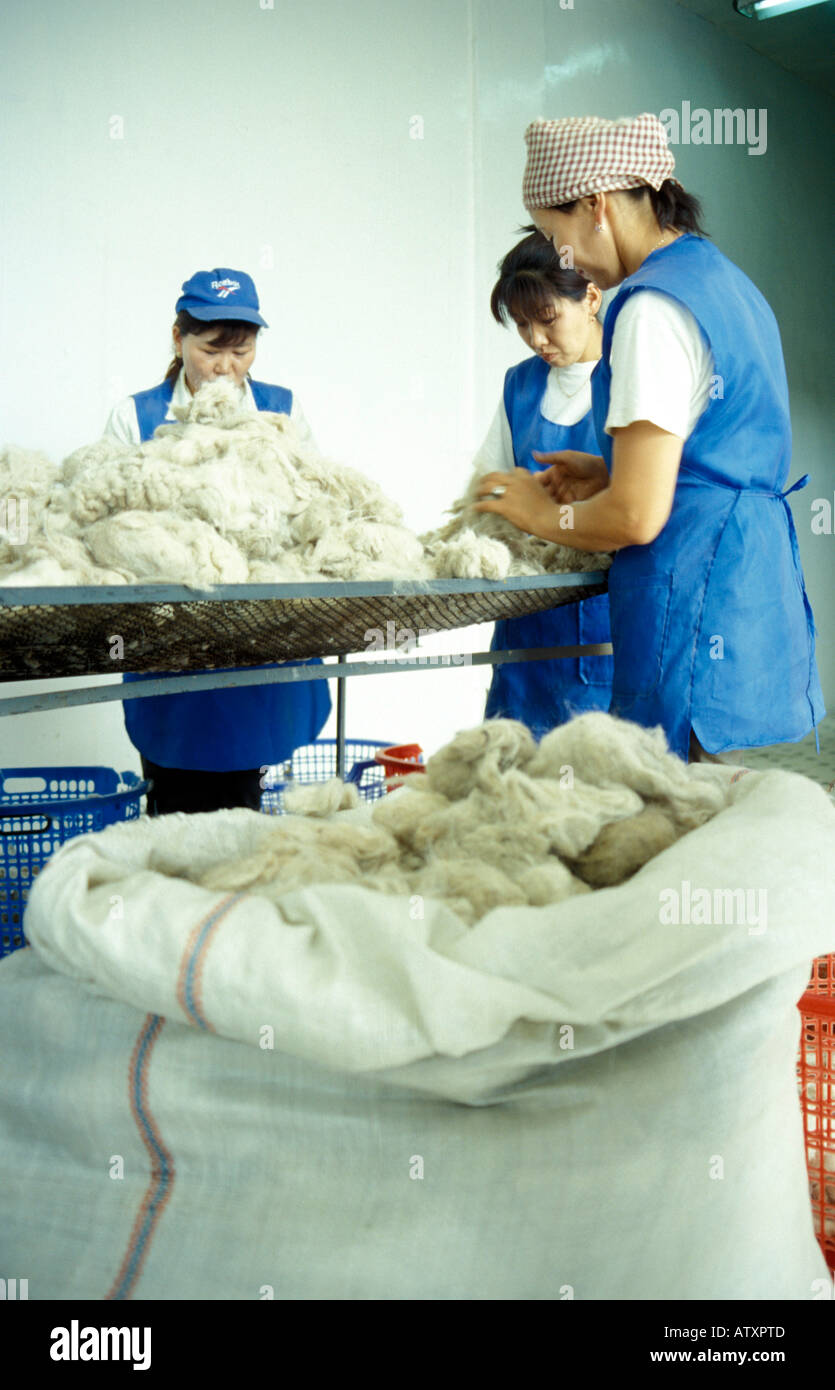 Cashmere Mongolia Asia Stock Photo - Alamy