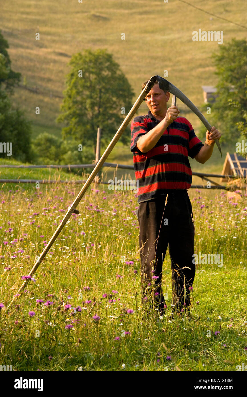 Farmer cutting grass with a scythe hi-res stock photography and images ...