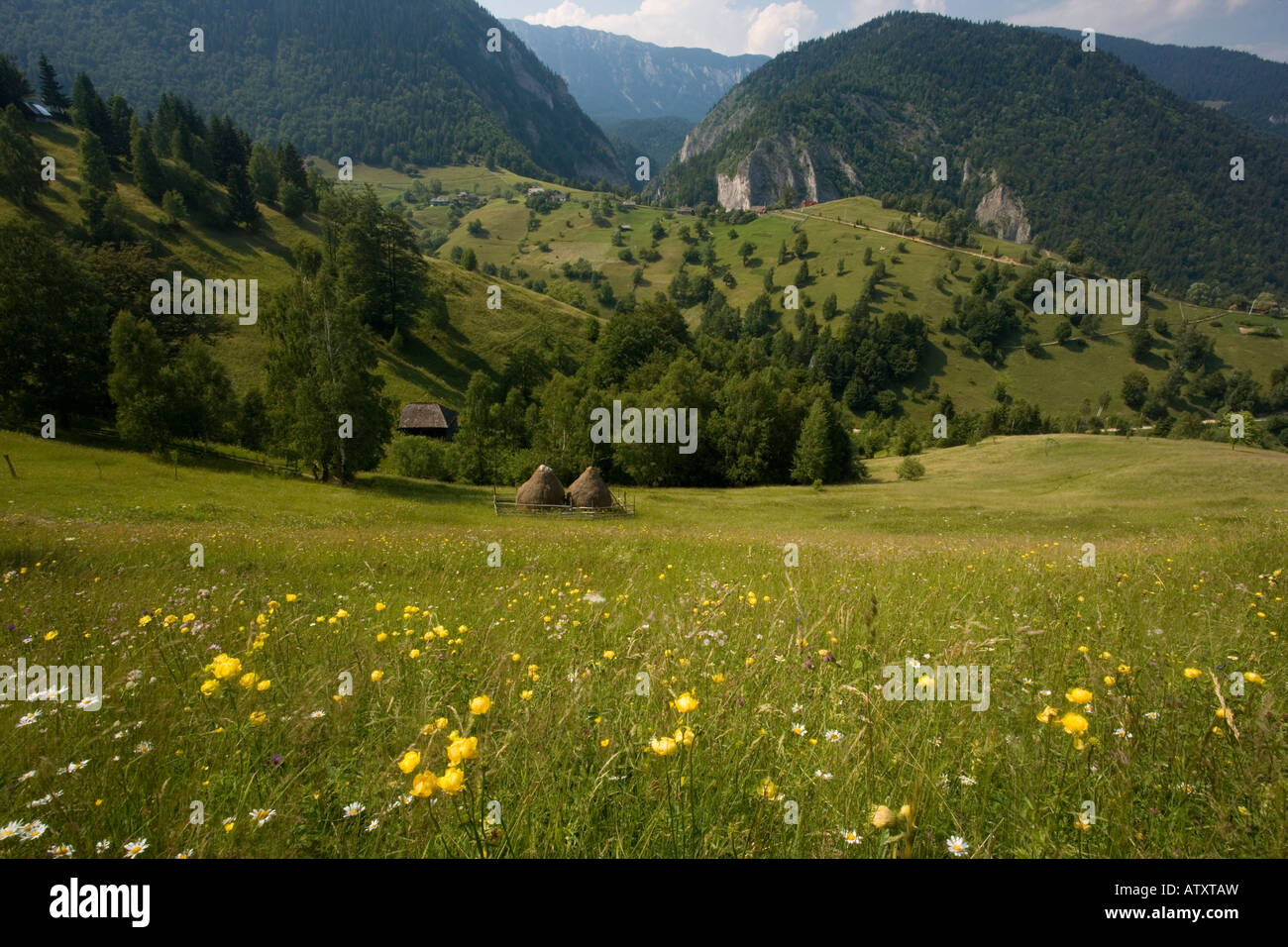 Piatra Craiulu National Park High Resolution Stock Photography and ...