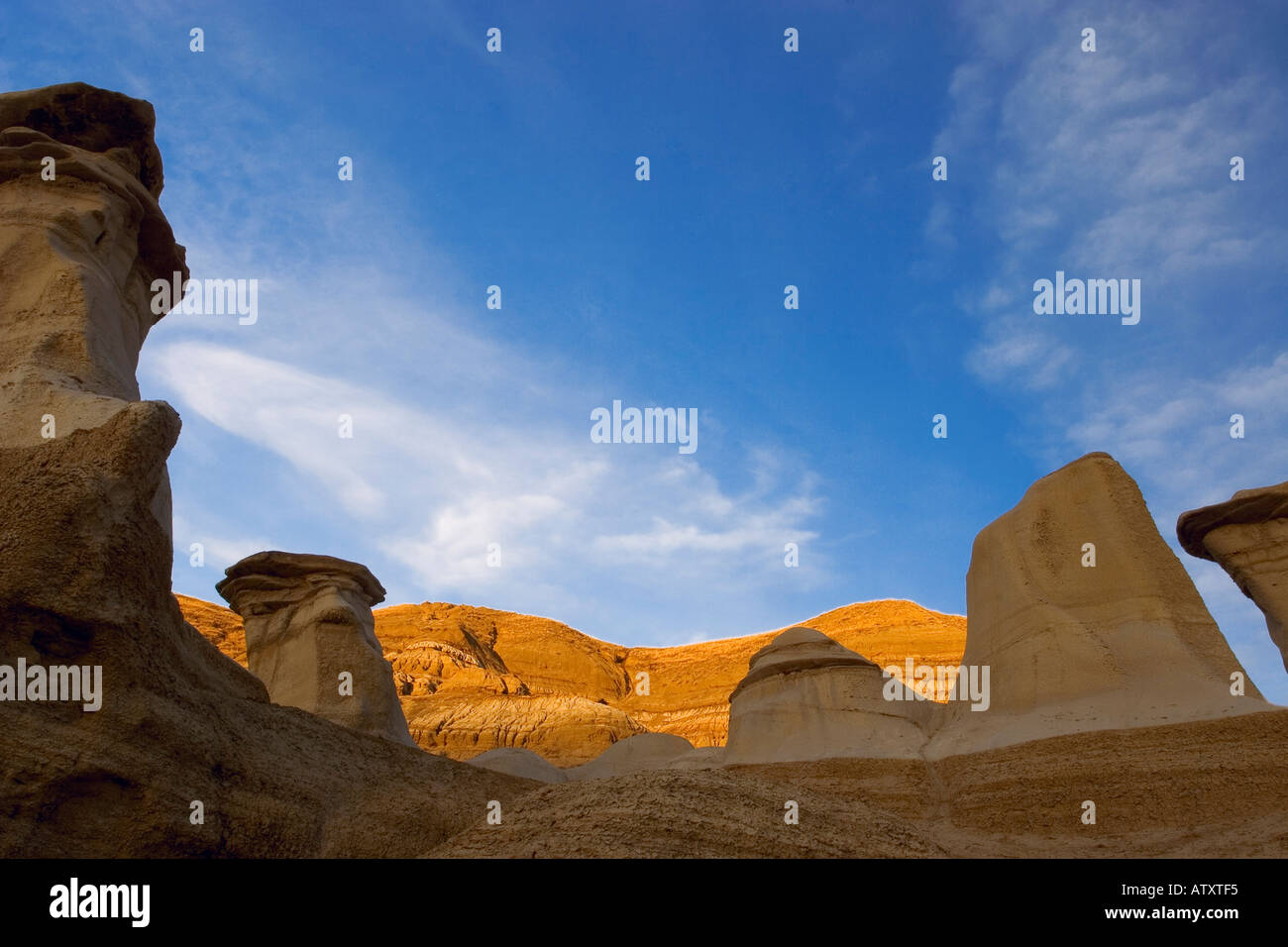 Dry land creation hi-res stock photography and images - Alamy