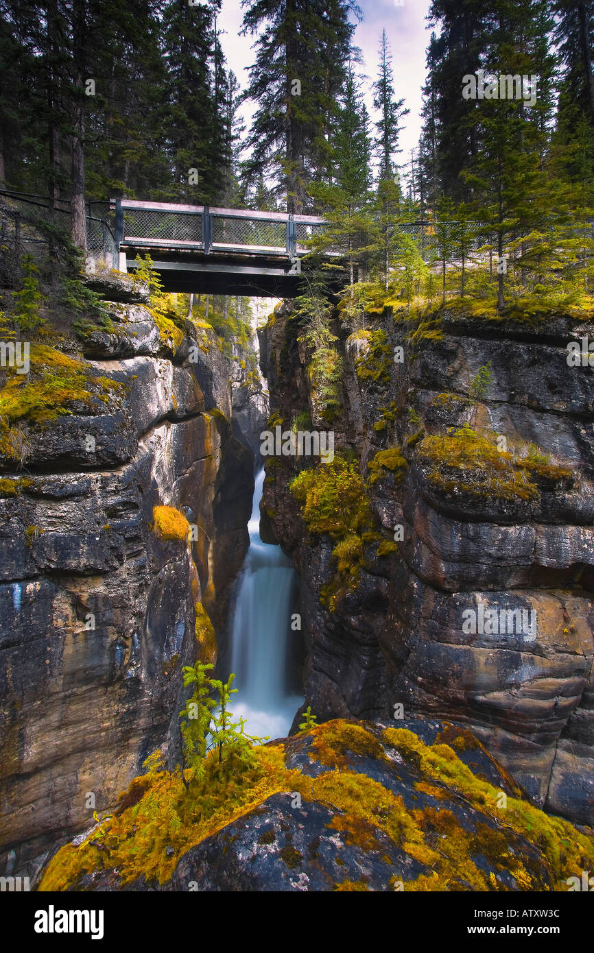 Maligne Canyon Waterfall, Jasper National Park, Jasper, Alberta, Canada ...