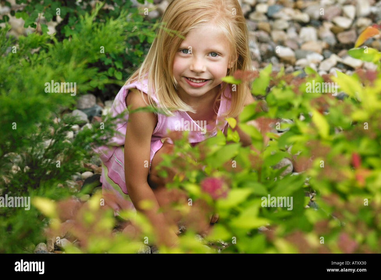Child hides behind bush Stock Photo - Alamy