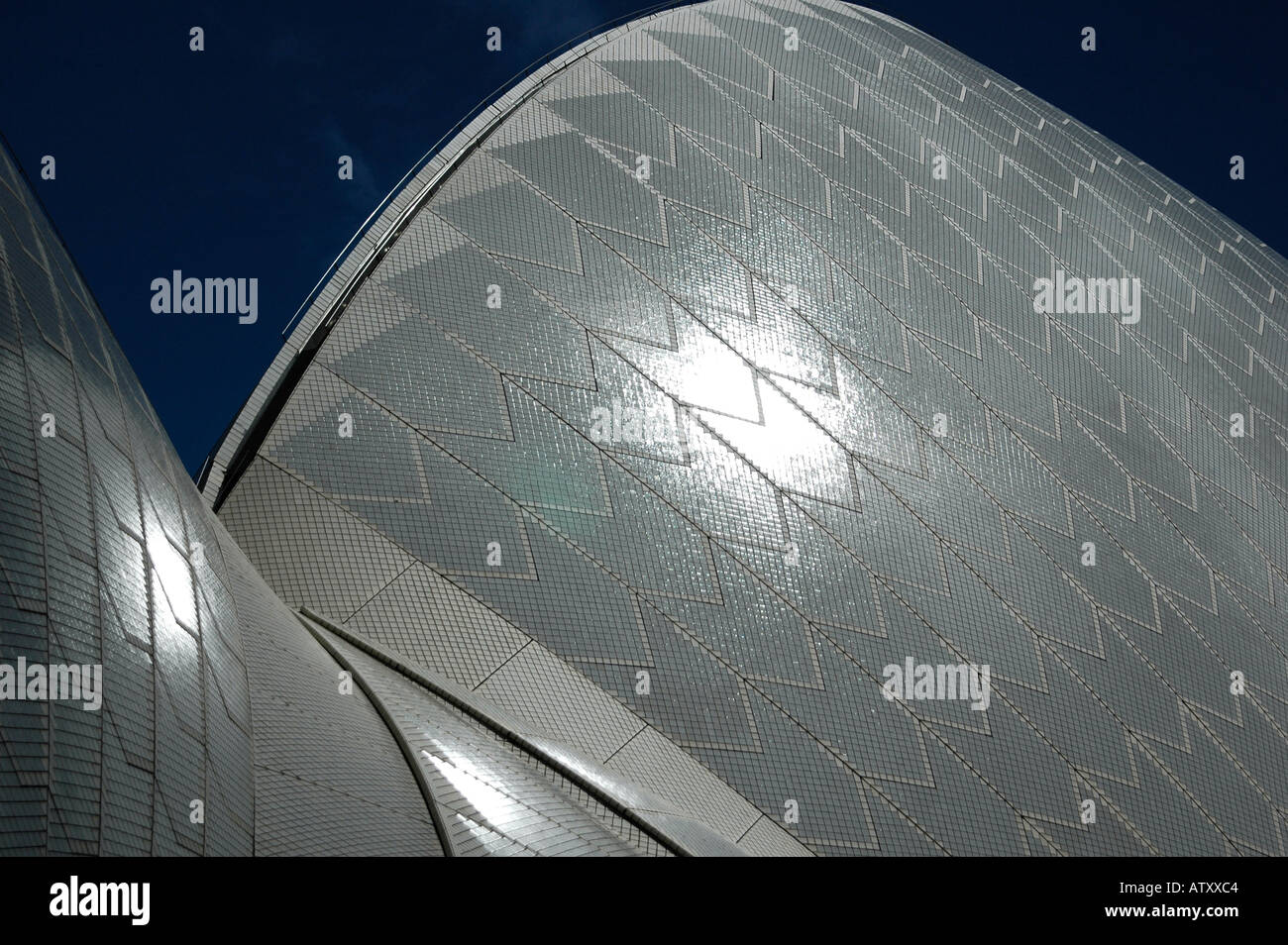 Close-up of tiles on Sydney Opera House Stock Photo - Alamy