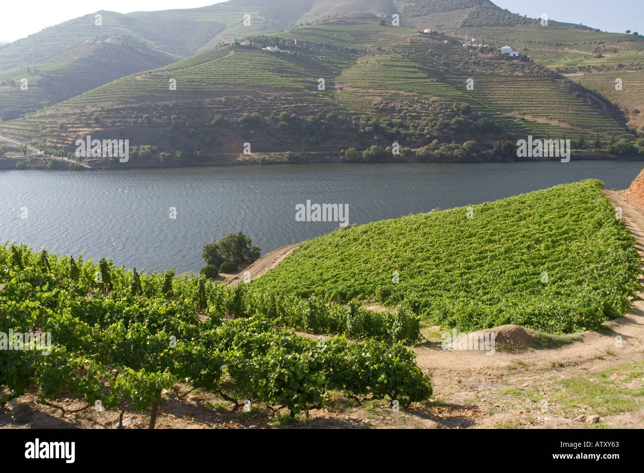 Douro River Valley Portugal Stock Photo - Alamy