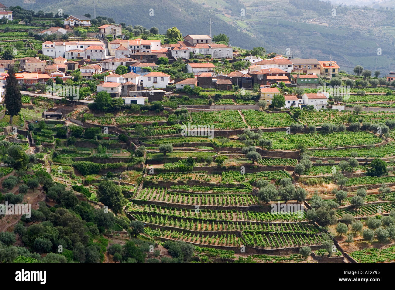 Hillside countryside portuguese hi-res stock photography and images - Alamy