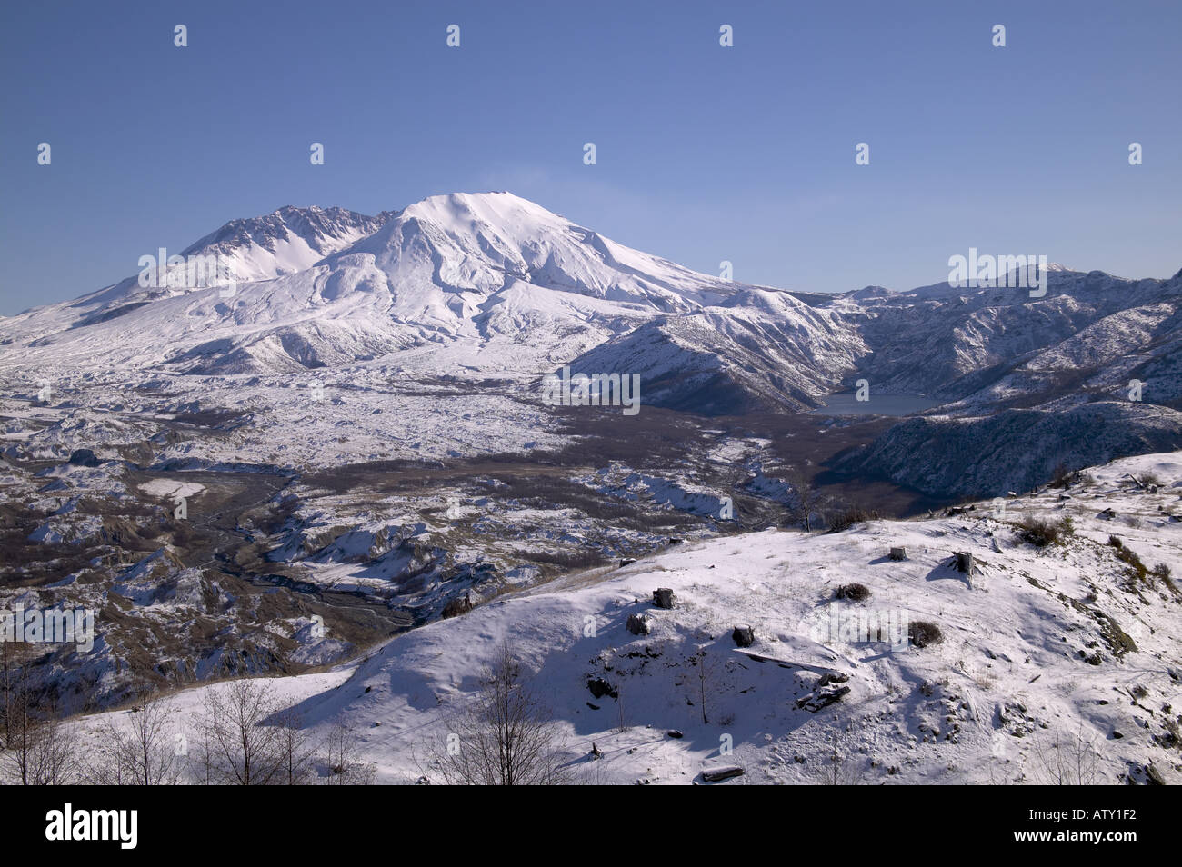 Cowlitz wa hi-res stock photography and images - Alamy