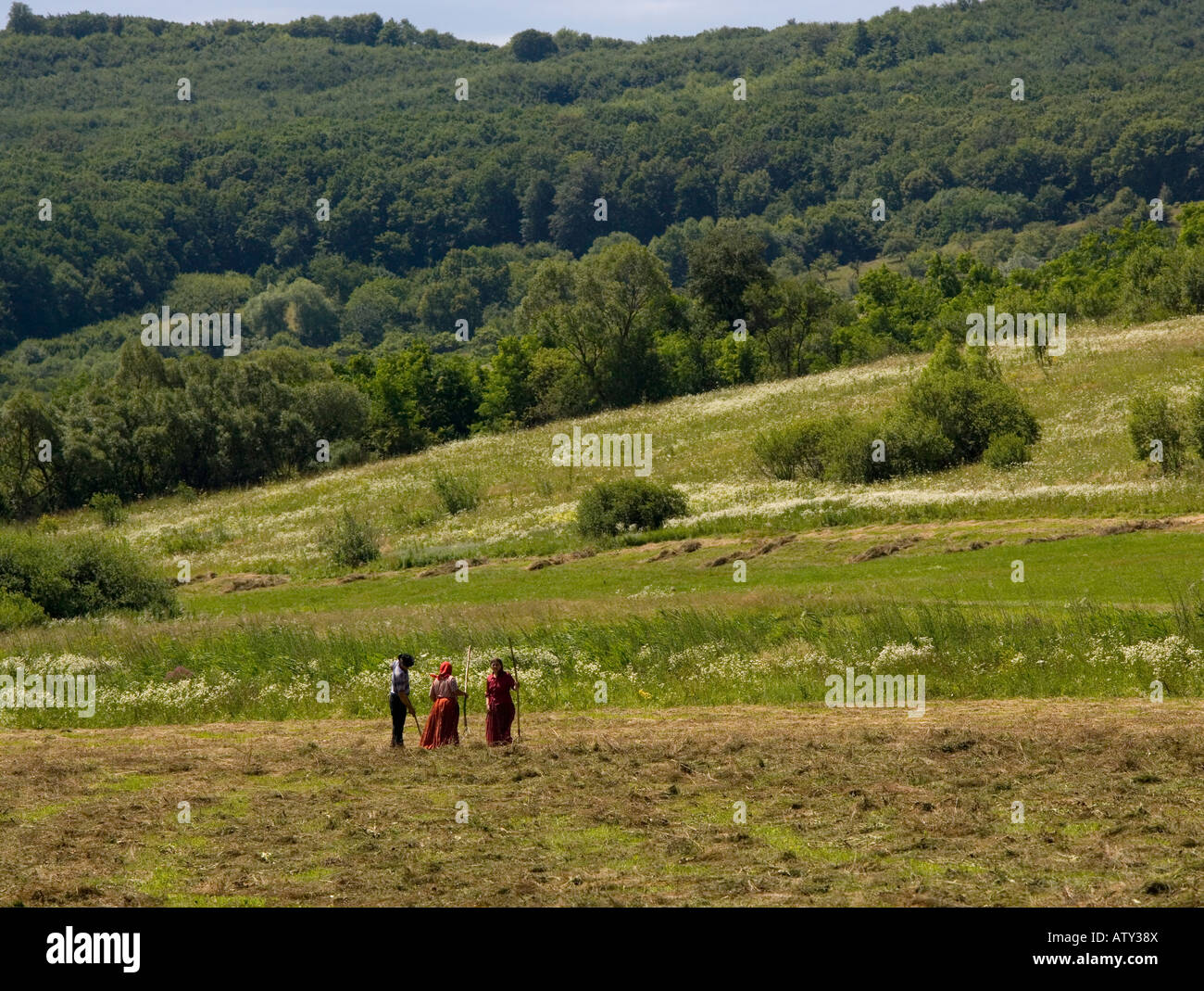 Romani people hi-res stock photography and images - Alamy