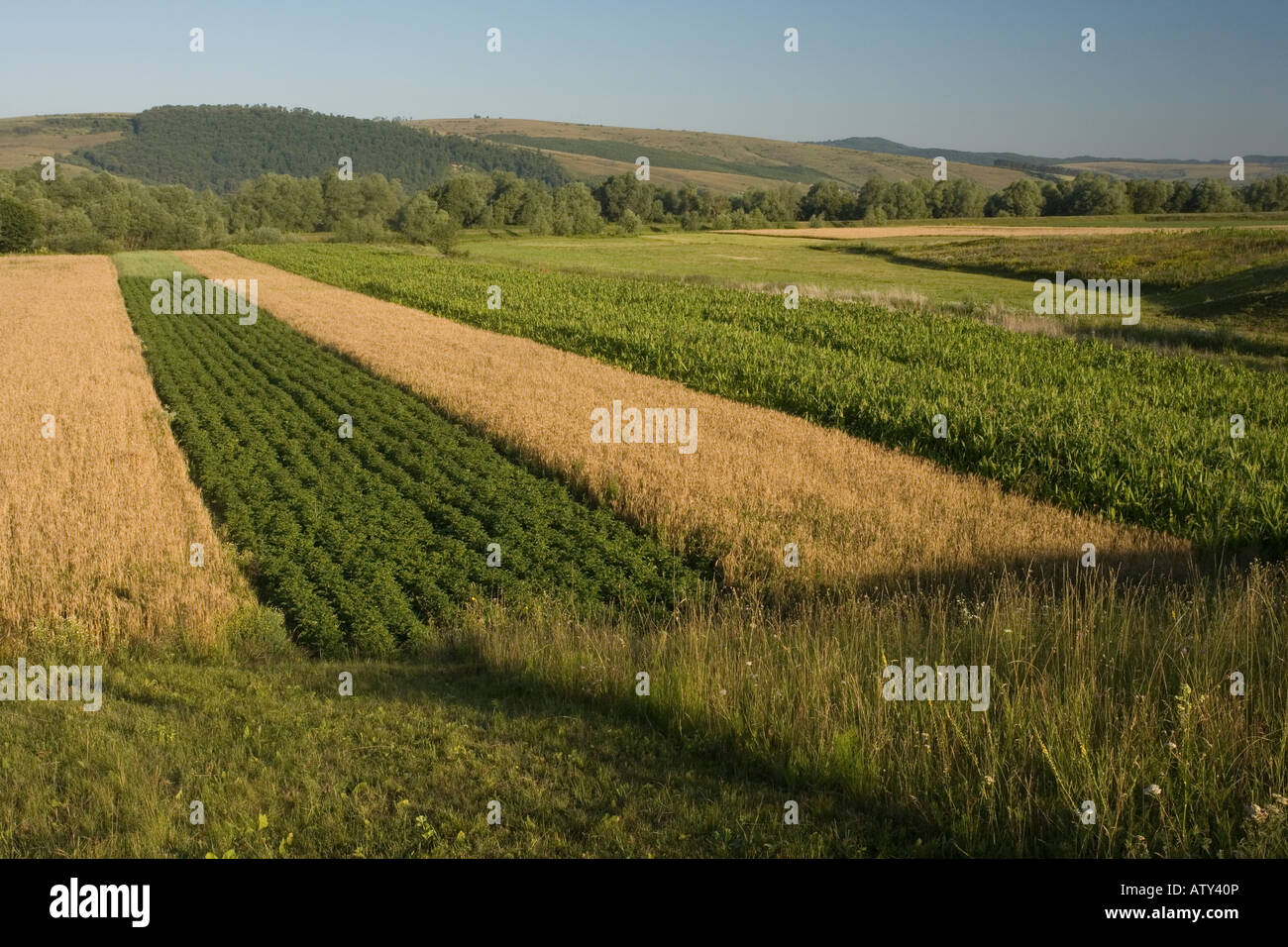 Strip fields in fragmented ownership saxon village area, Transylvania ...