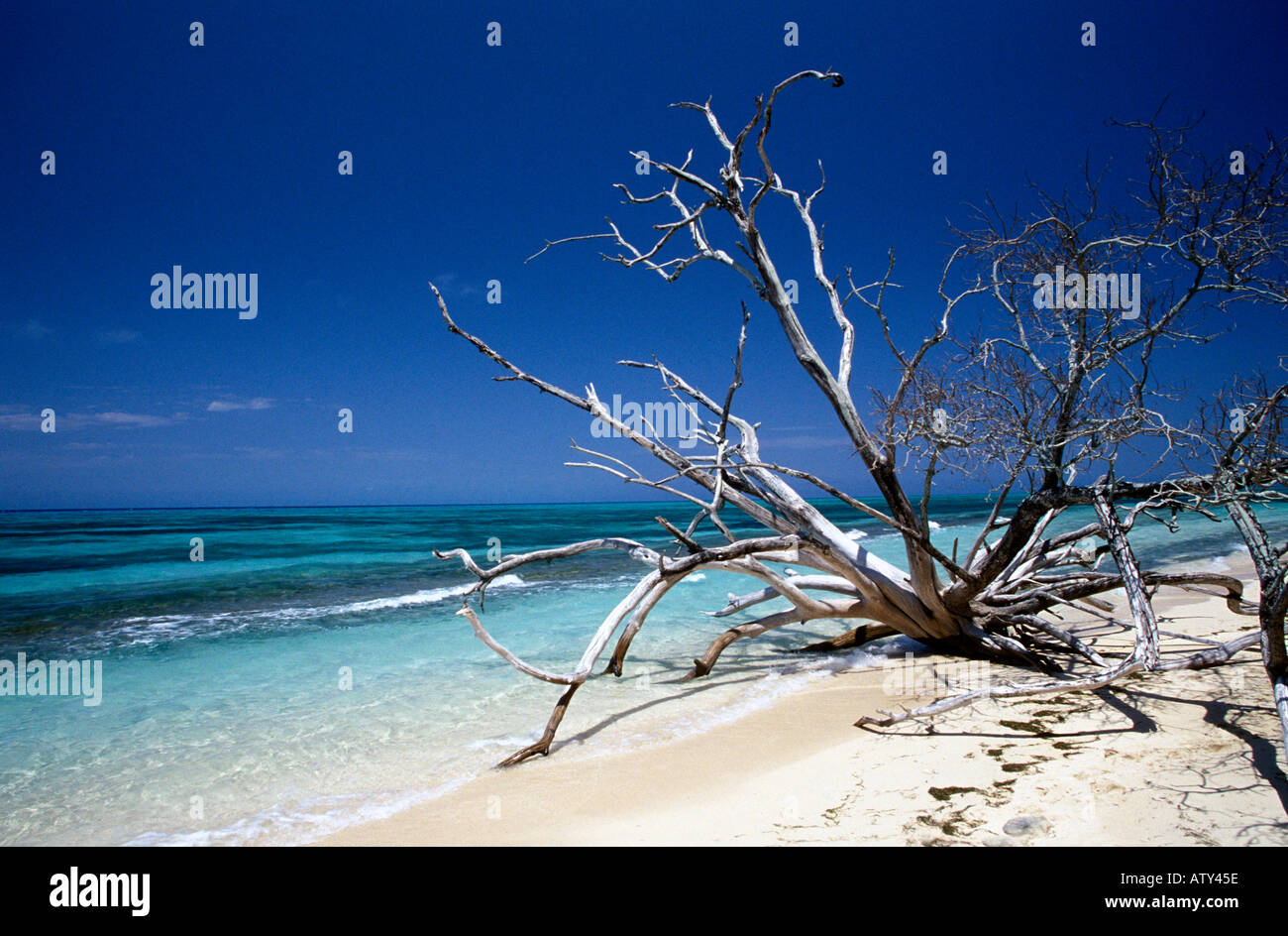 Blue Bay Australia Stock Photo - Alamy