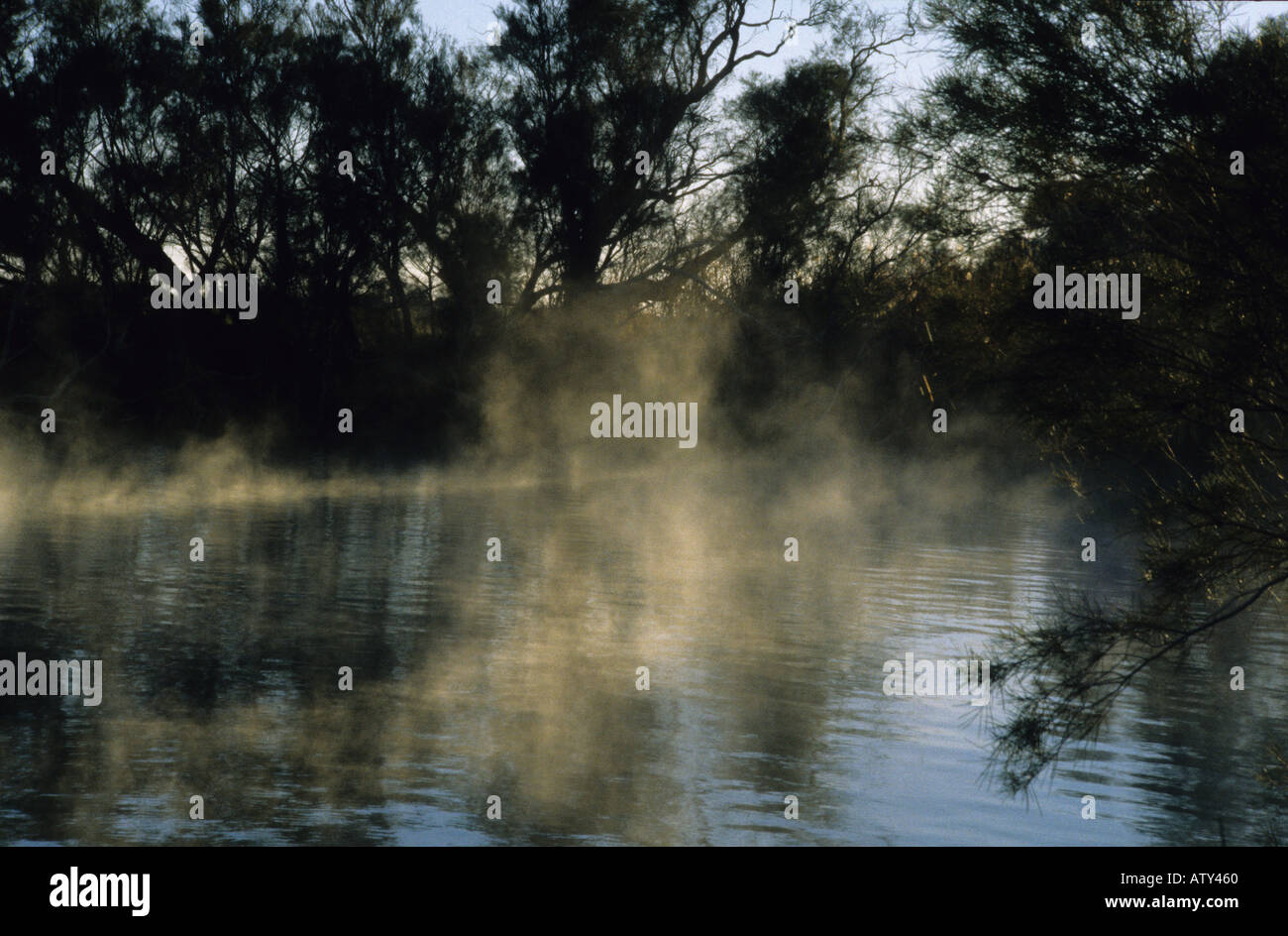 South Australia Dalhousie steaming hot Springs Stock Photo - Alamy