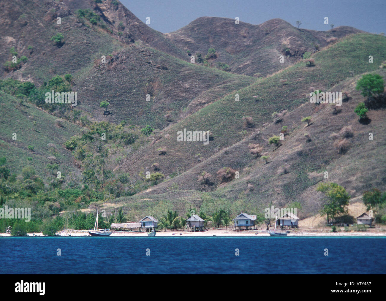 Beach excursion from Labuanbajo to Pulau Rinca and Komodo Island ...