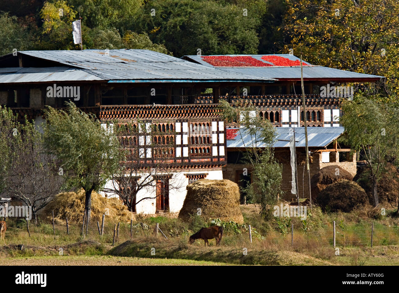 Bhutanese House High Resolution Stock Photography and Images - Alamy