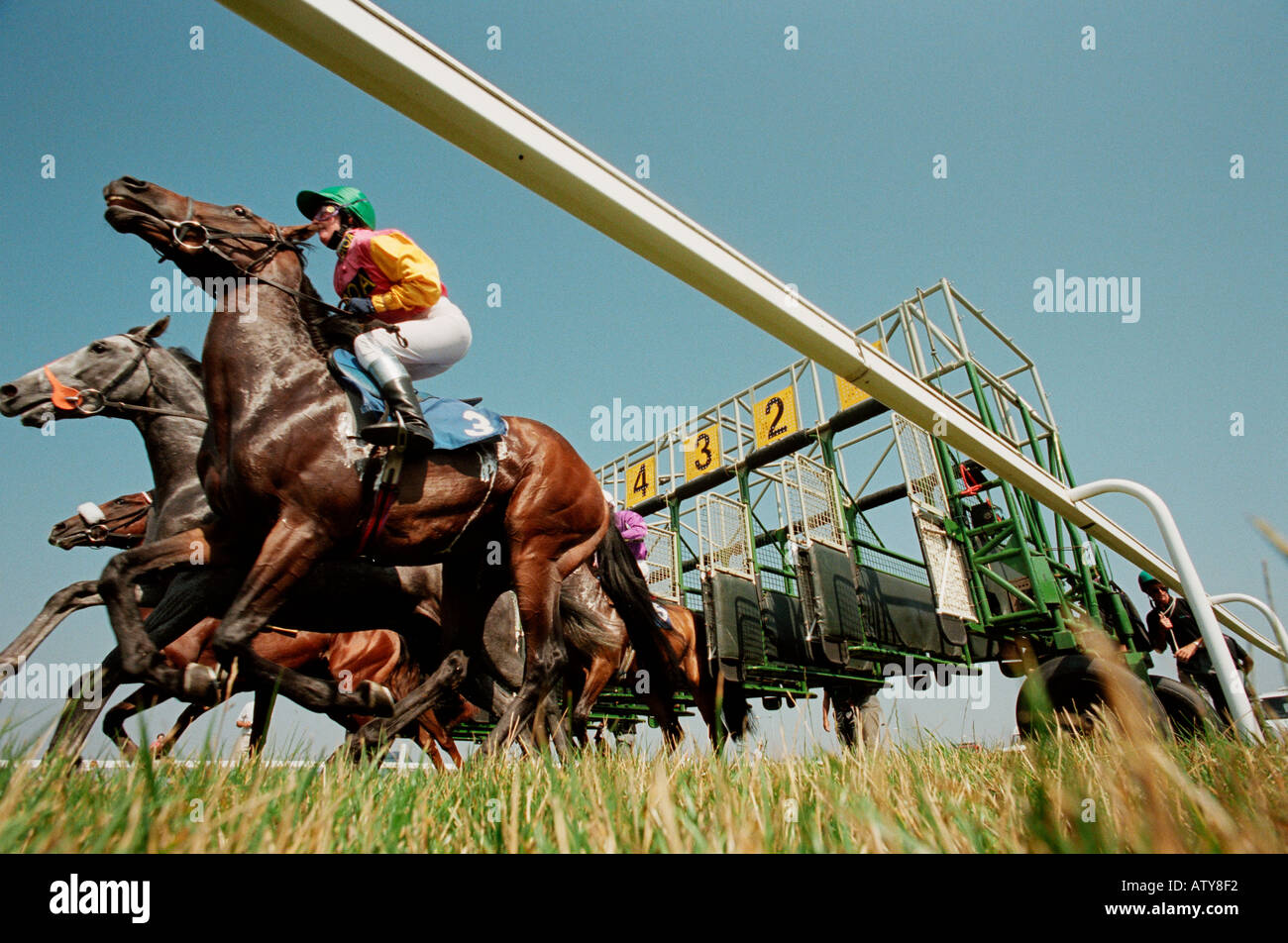 Brighton racecourse hi-res stock photography and images - Alamy