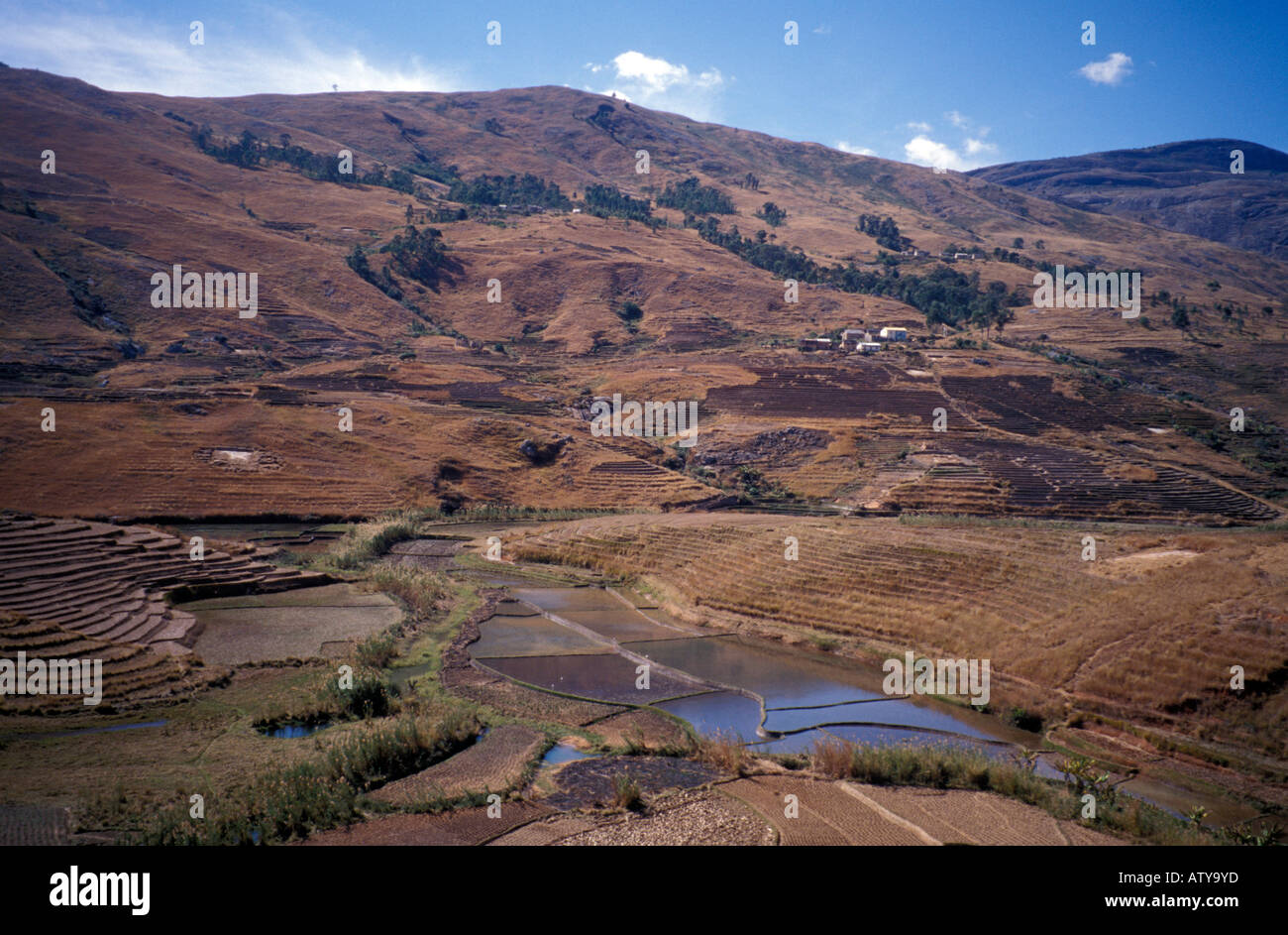 Rice fields Madagascar Africa Stock Photo - Alamy
