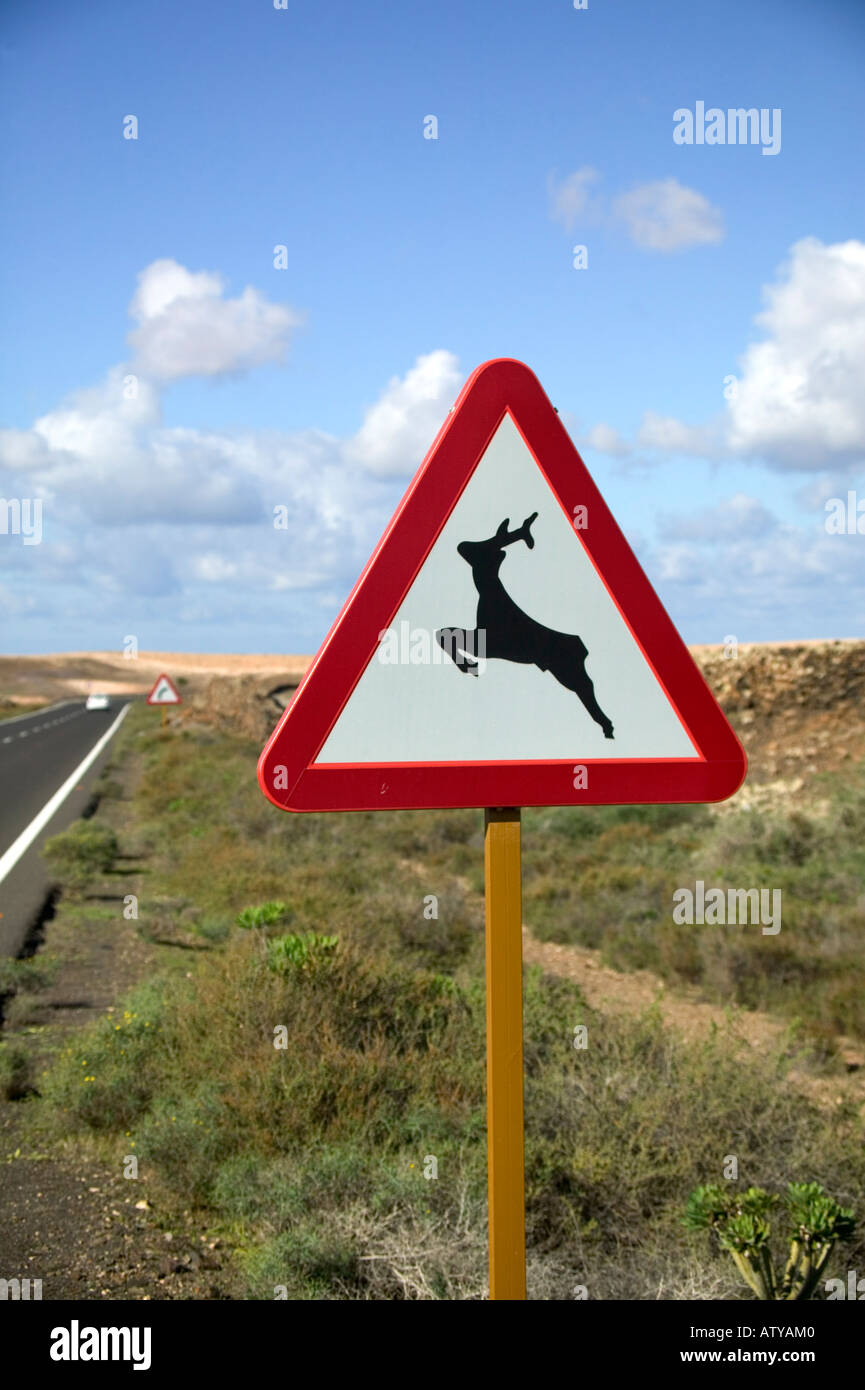 Roadside sign warning of free roaming goats Lajares Stock Photo - Alamy