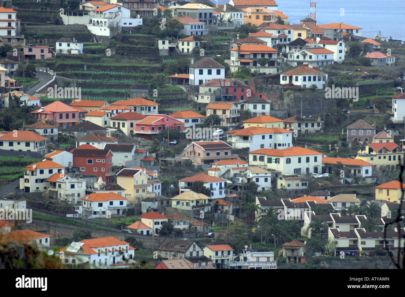 Residential homes, Madeira Stock Photo - Alamy