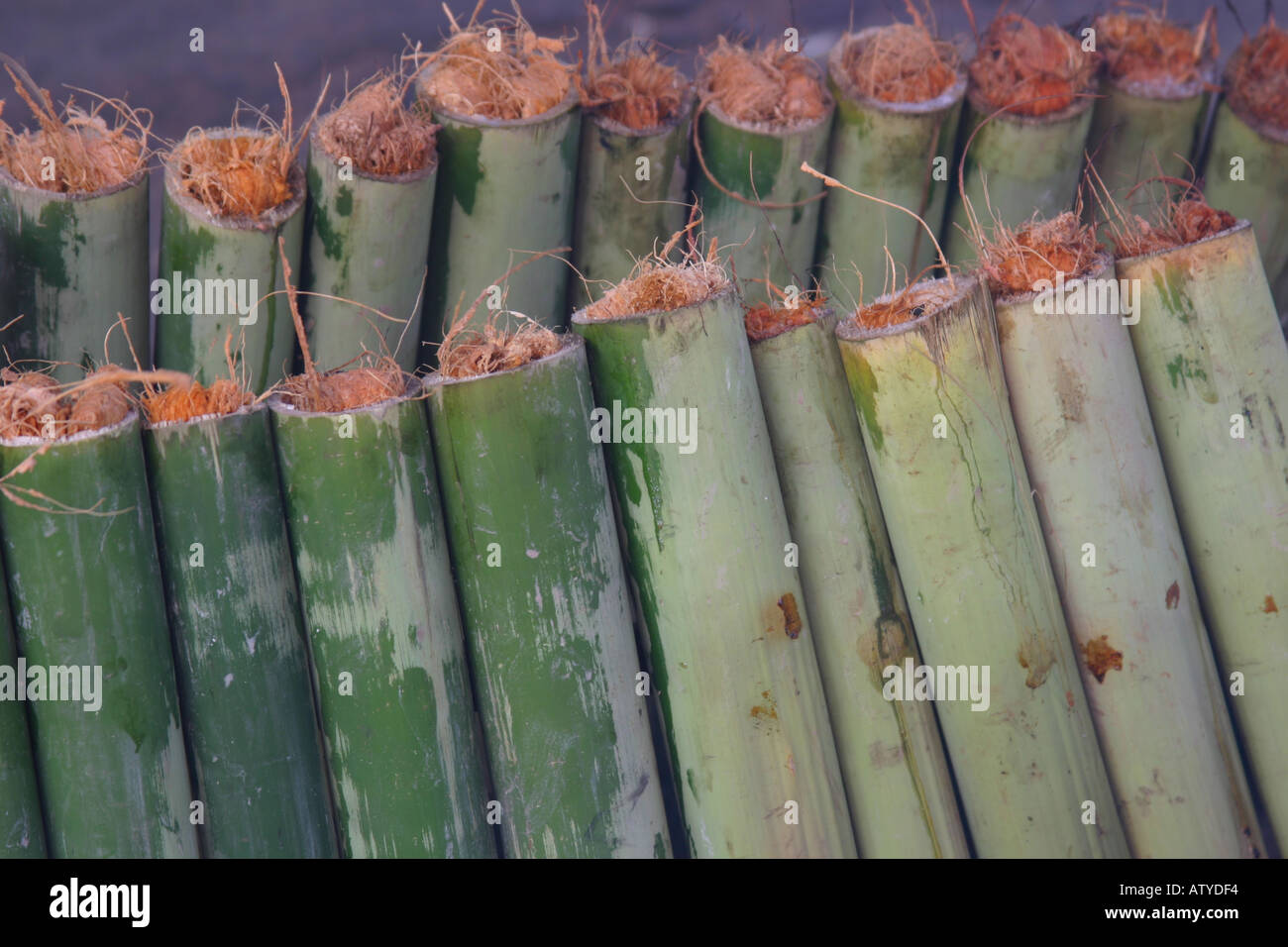 Bamboo filled with sticky rice Stock Photo - Alamy