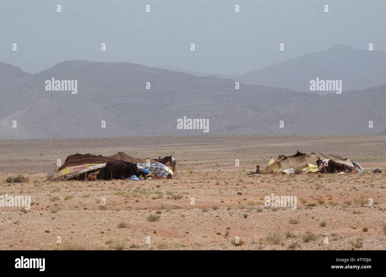 Tuareg tent hi-res stock photography and images - Alamy