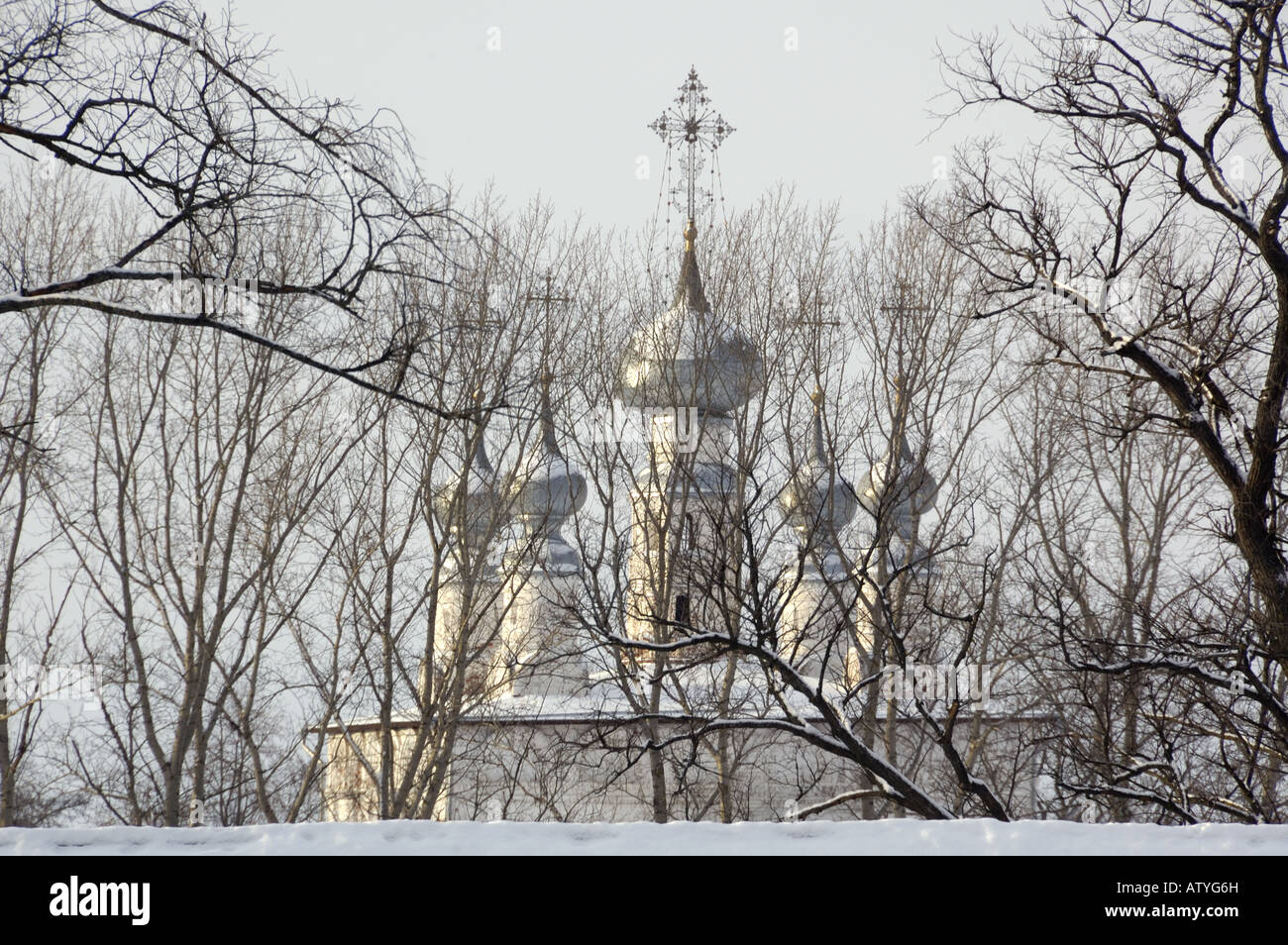 Suzdal russia tree land hi-res stock photography and images - Alamy