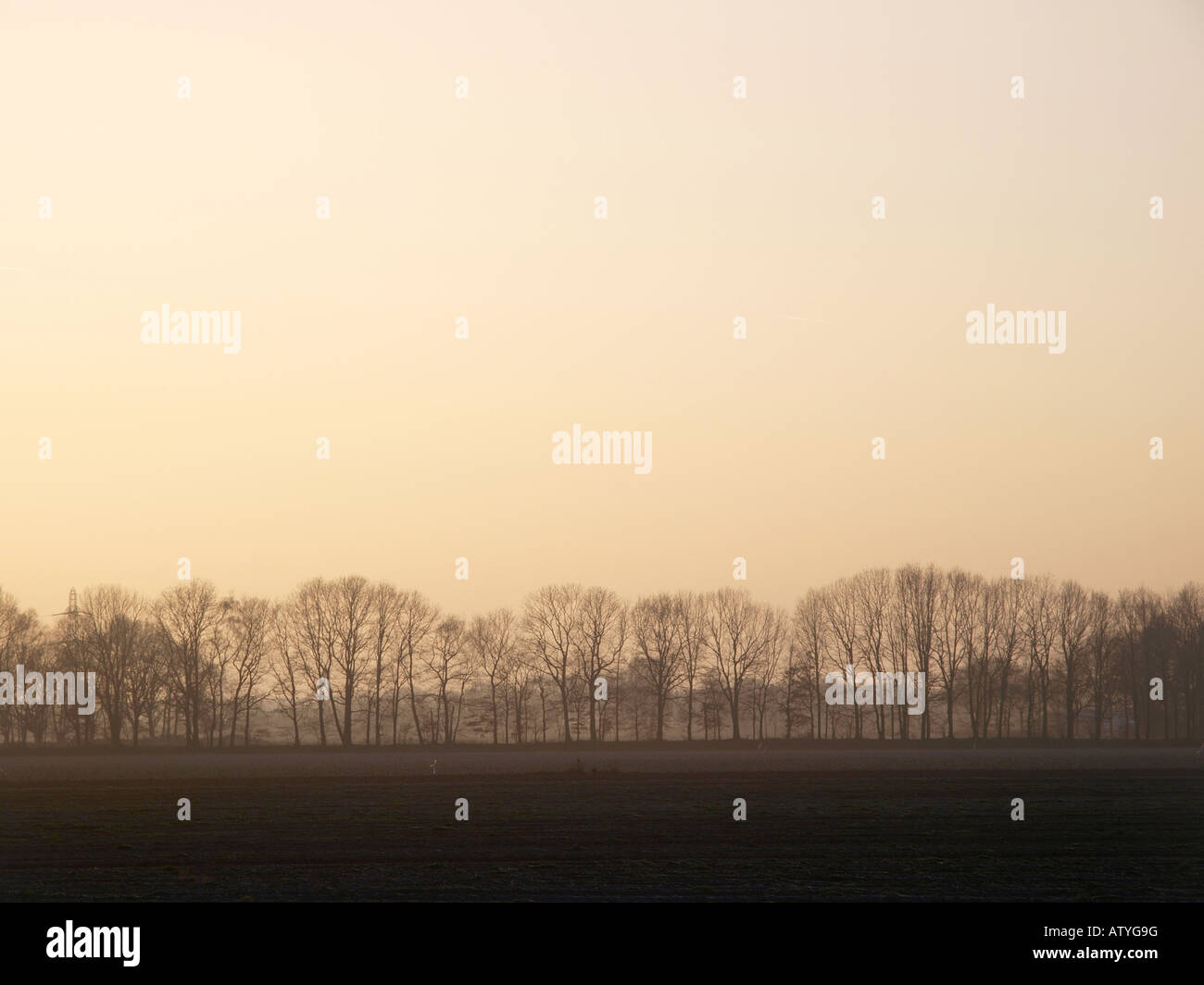 hazy line of trees on horizon Stock Photo - Alamy