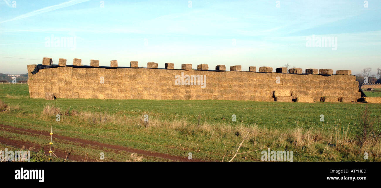 Packington park hi-res stock photography and images - Alamy