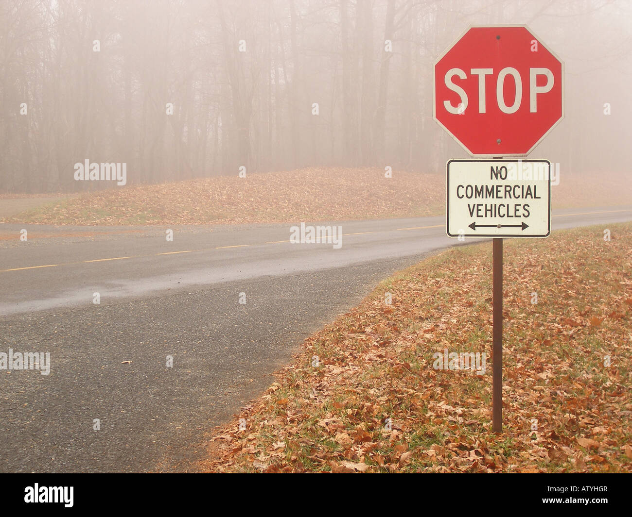 AJD59798, Stop Sign, fog, Blue Ridge Parkway, Galax, Virginia, VA Stock ...