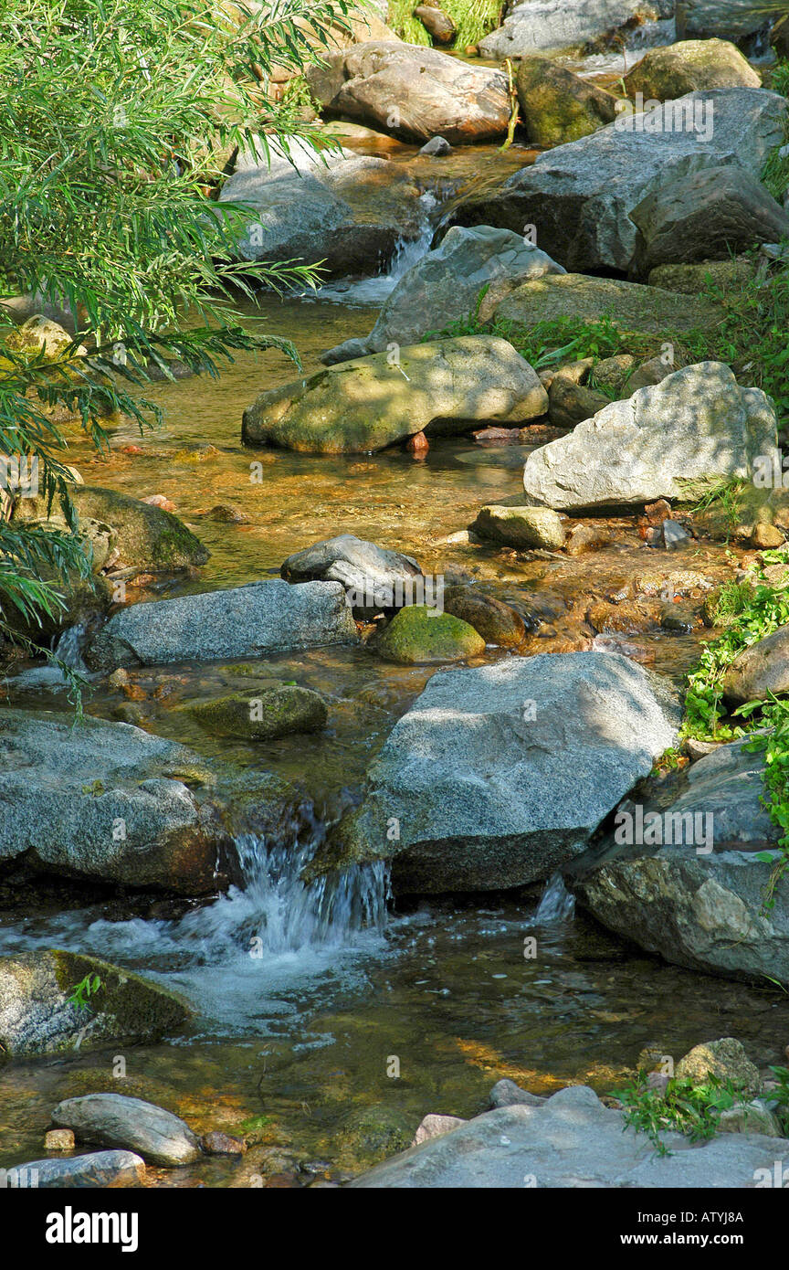 Schwarzwald Gebirgsbach Bach Fluss Wasser Felsen frisch Quellwasser ...