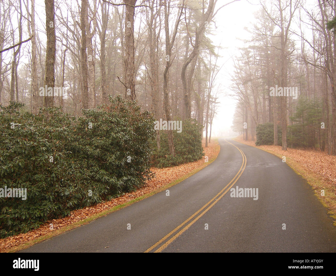 AJD59801, Blue Ridge Parkway, fog, Galax, Virginia, VA Stock Photo - Alamy